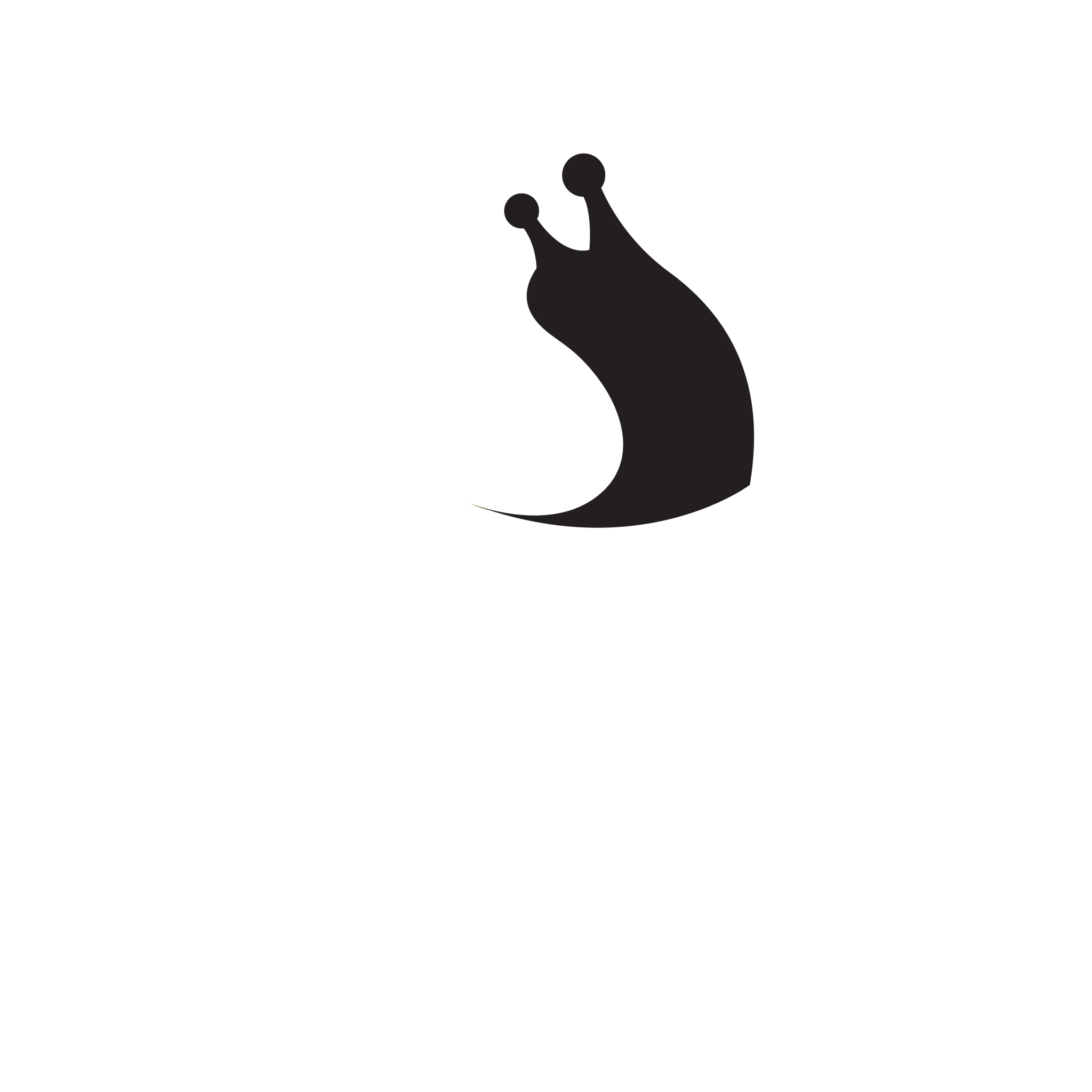 Snail Integral – Your Brand Consulting Partner